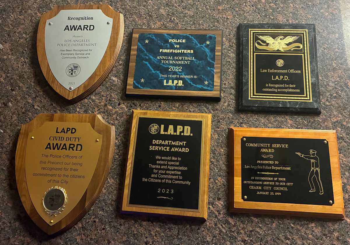 High Potential S2 Precinct Plaques Nov 5th – MyLaserStop
